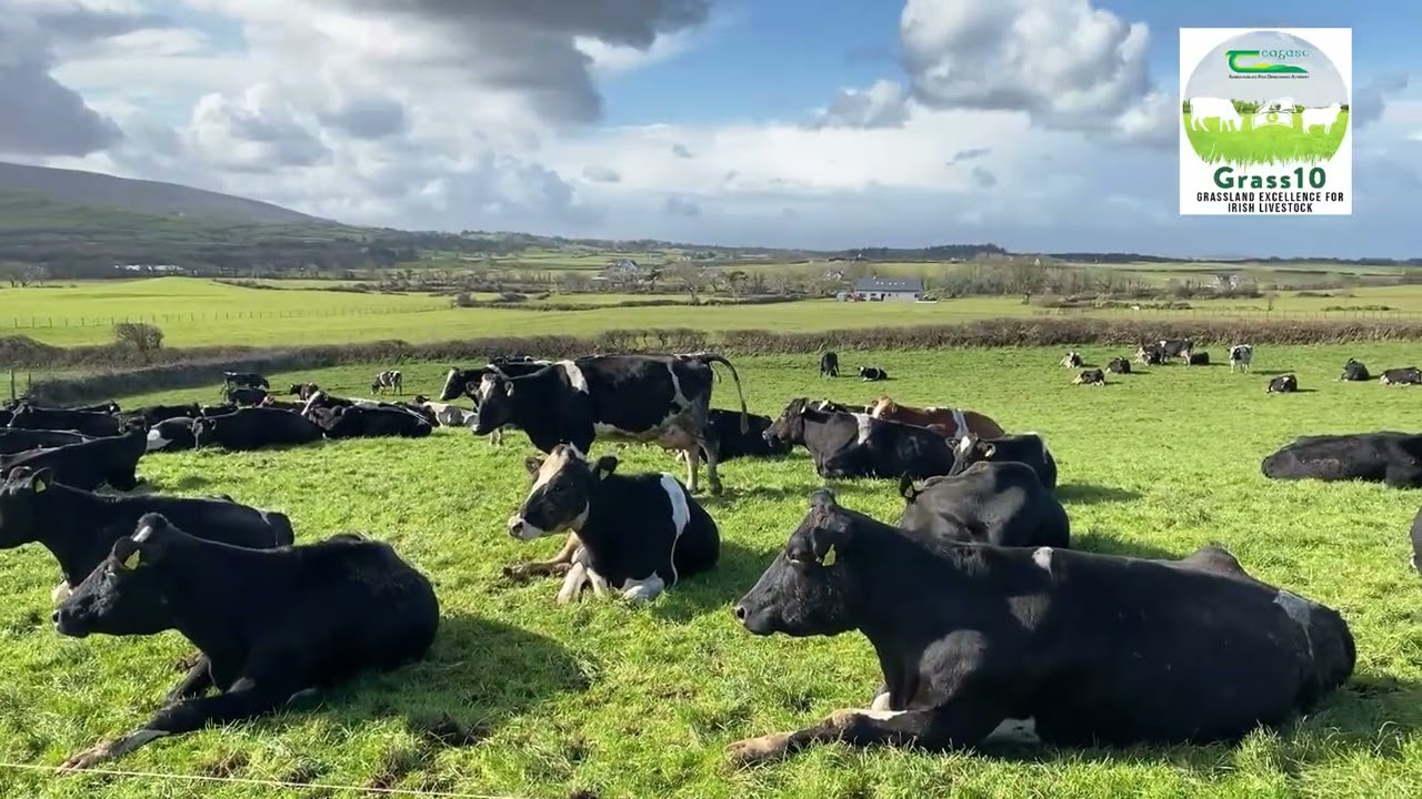 Early Spring Grazing in the West - YouTube