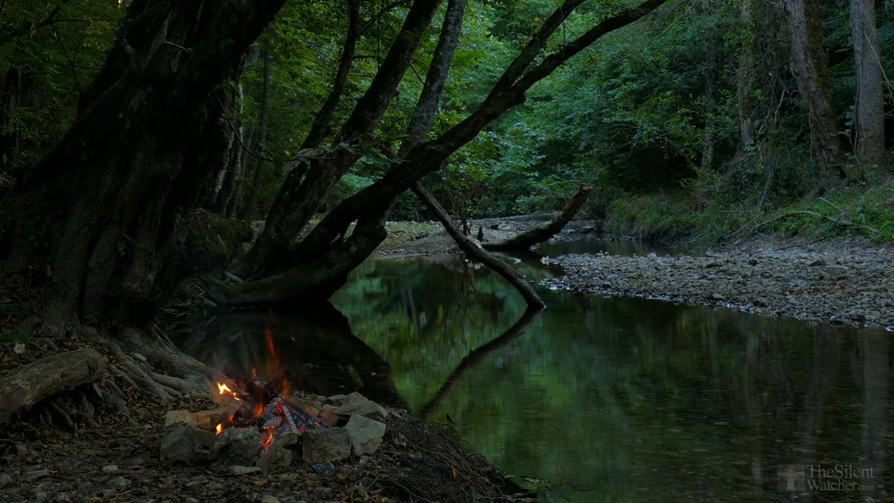 Helena Monologue from Midsummer Night's Dream - YouTube