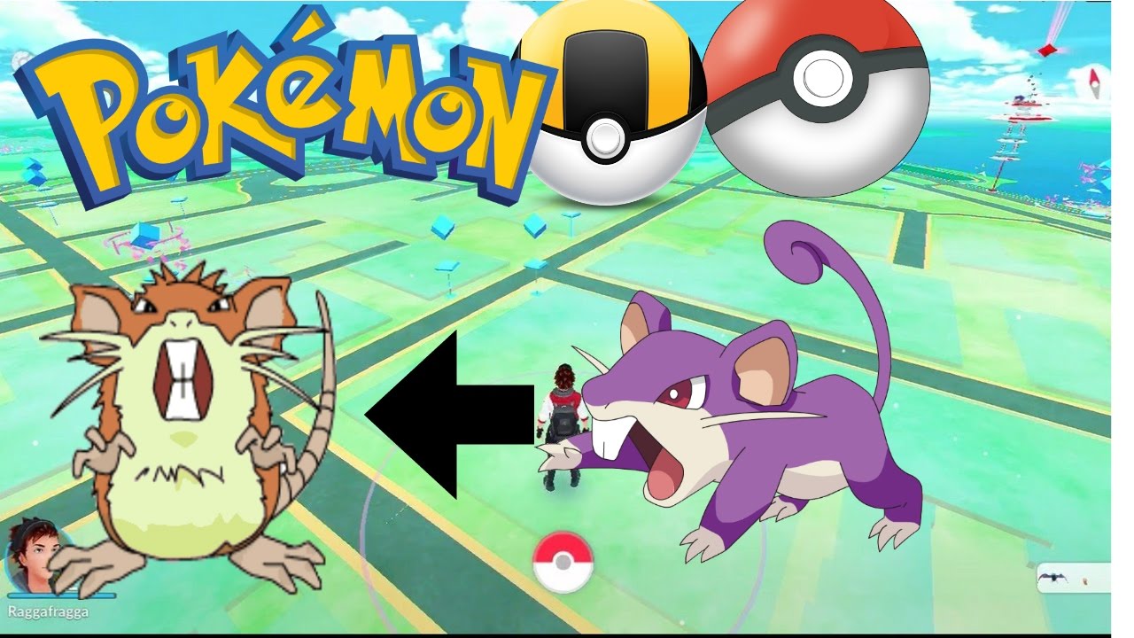 Pokemon go rattata evolution - YouTube