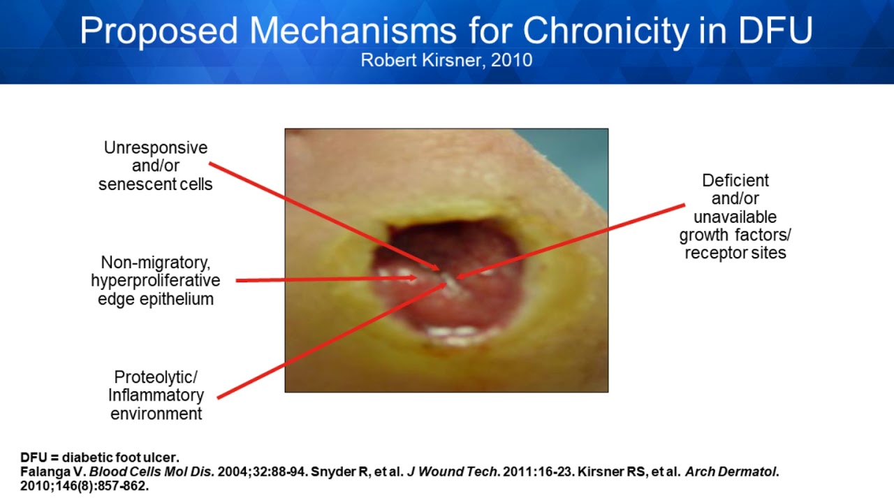 Collagen/ORC Dressings: Restoring Normal Healing Trajectory through ...