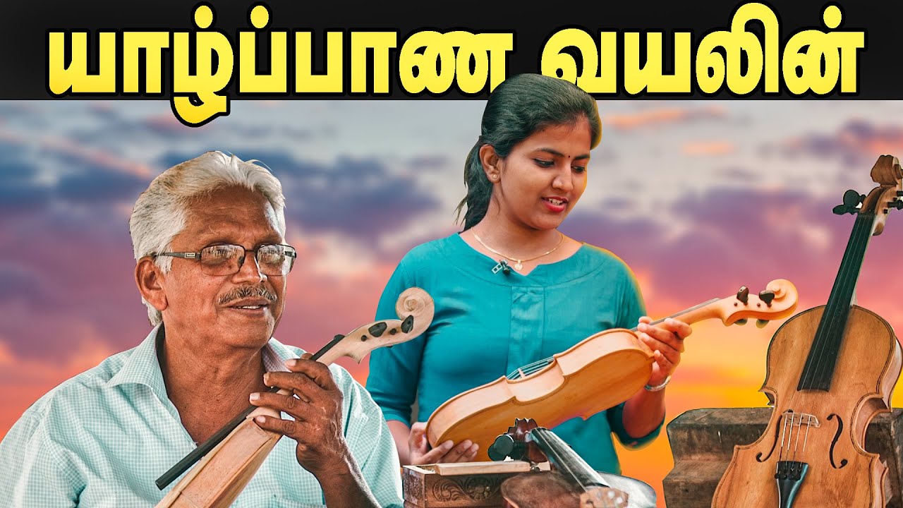 புத்தூரில் உற்பத்தியாகும் வயலின் | Violin | Jaffna Violin | Jaffna ...