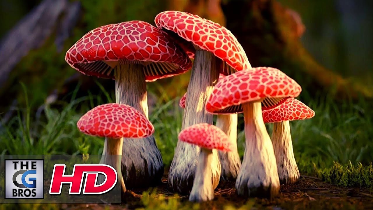 CGI 3D Animated Short: "Mushrooms" - by Paweł Grzelak | TheCGBros - YouTube