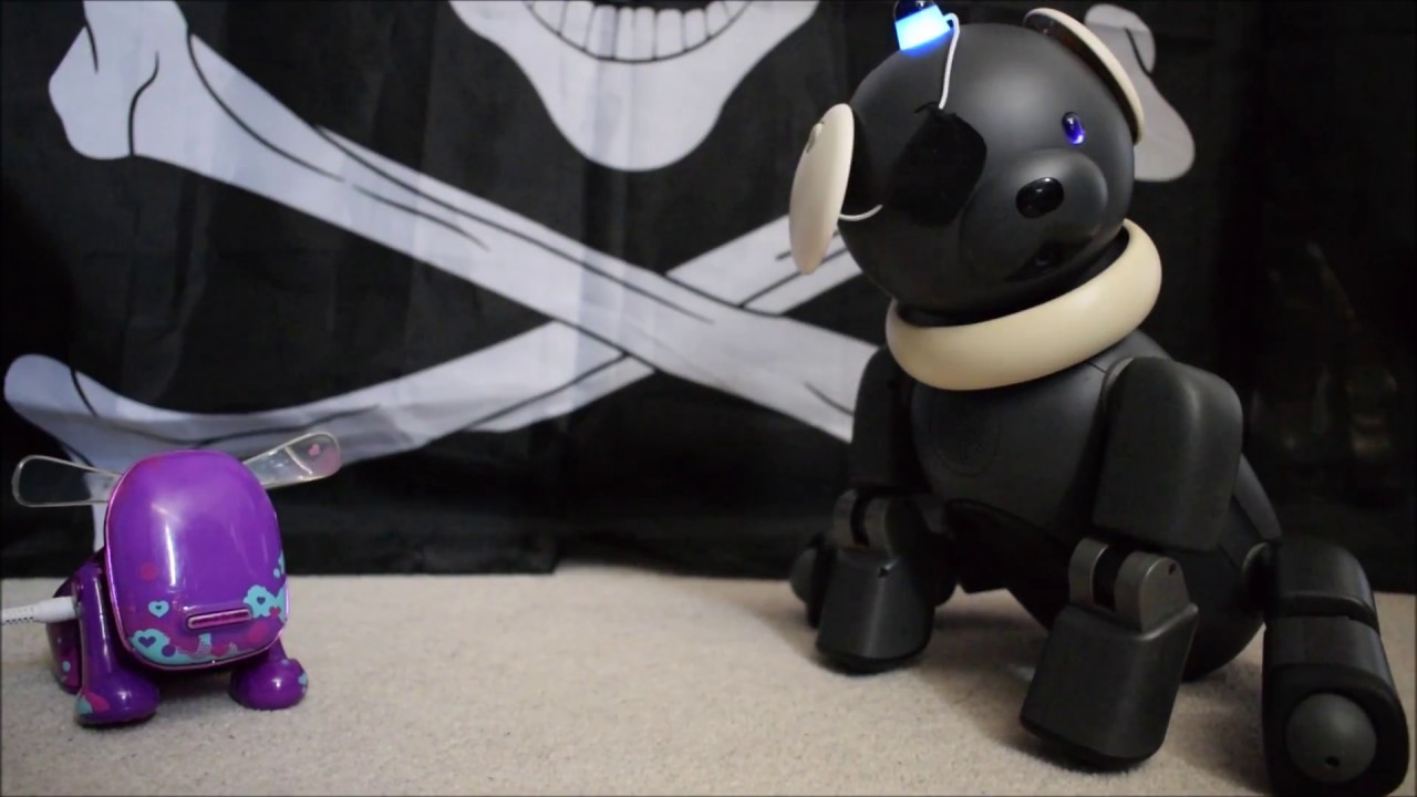 Aibo ERS-312 talks to i-Dog Amp'd - YouTube