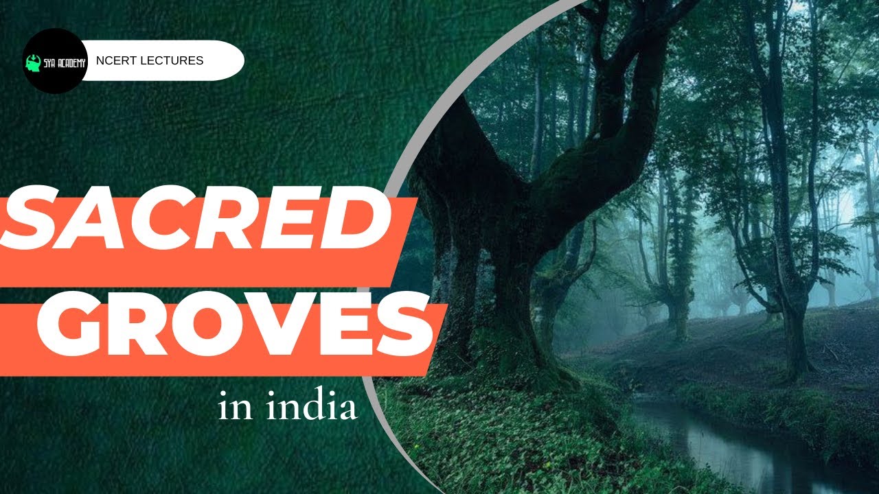 Sacred Groves In India | NCERT Political Science | Class 12 - YouTube