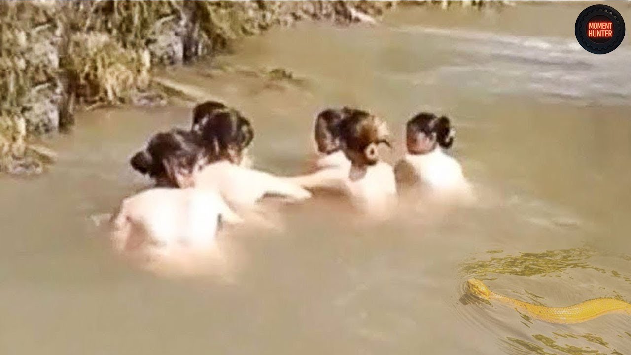 Incredible Moments Caught On Camera #61 | Best Of The Month - YouTube