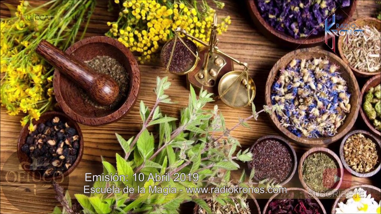 EL PODER MAGICO DE LAS PLANTAS - YouTube