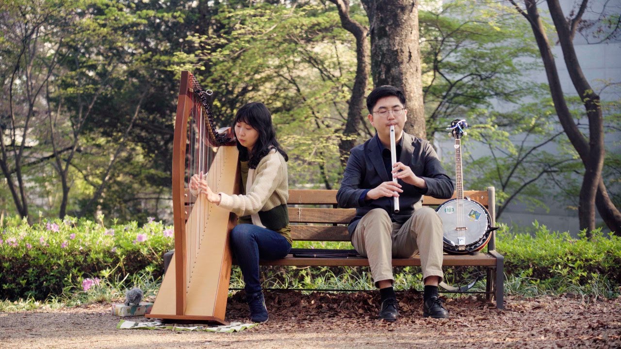 Dawn by the Sally Garden - Irish Tin Whistle & Celtic Harp Duo - YouTube