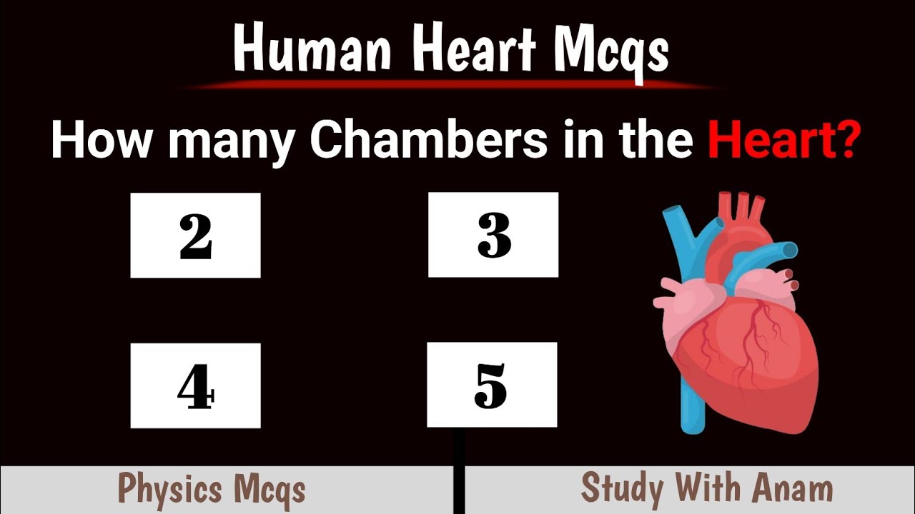 human heart mcq | heart mcq | heart Mcq questions | heart related ...