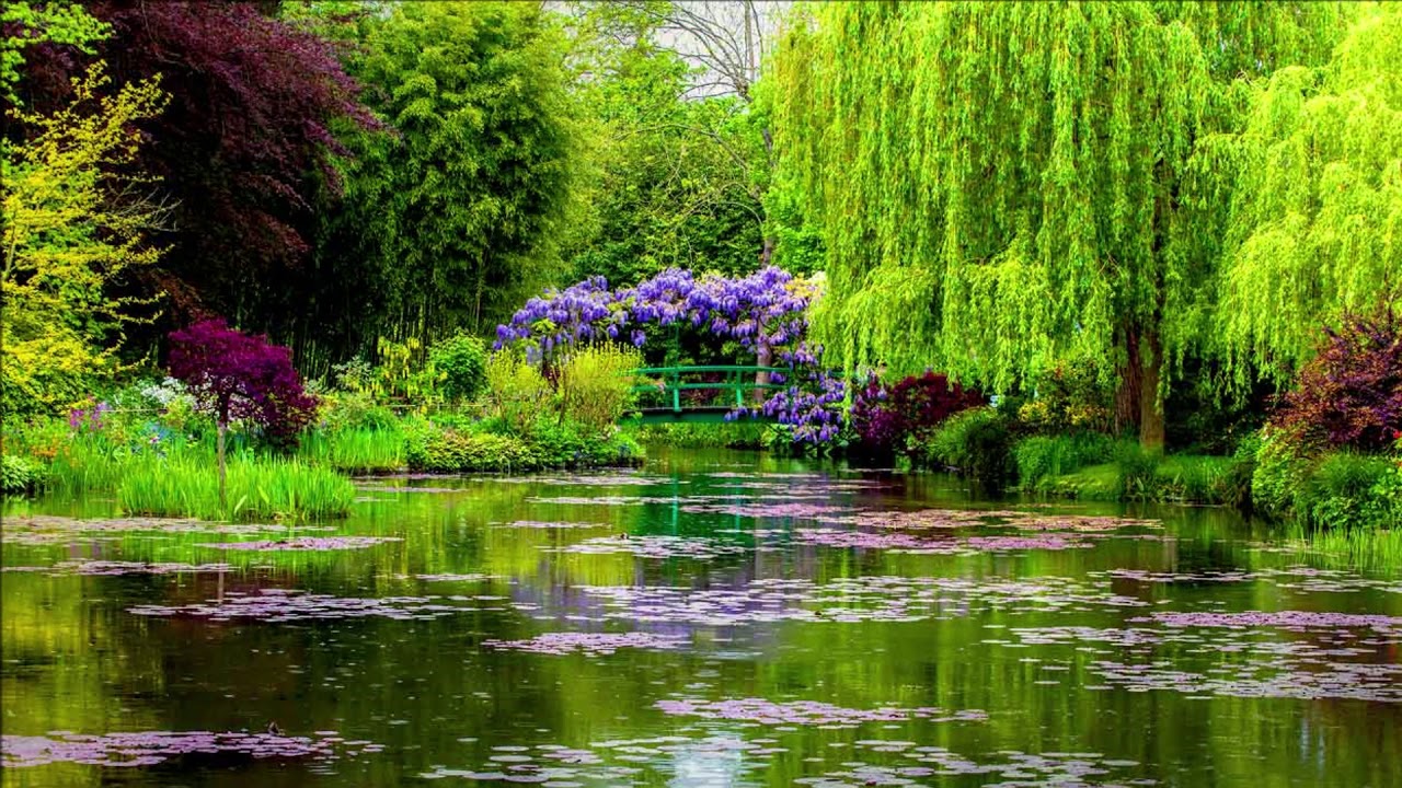The Dreamy Pond ~ Relax Music with Nature Sounds - YouTube
