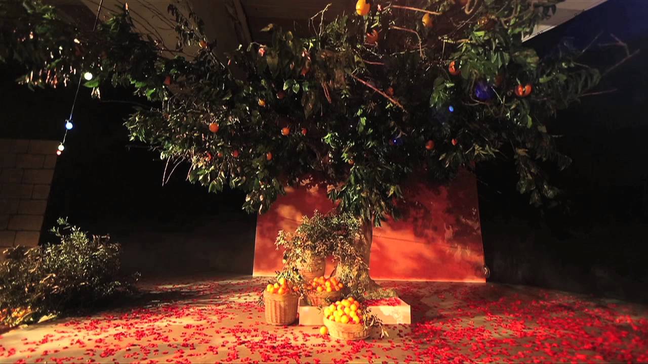 VIP Dinner and Performance by the Royal Opera House - YouTube
