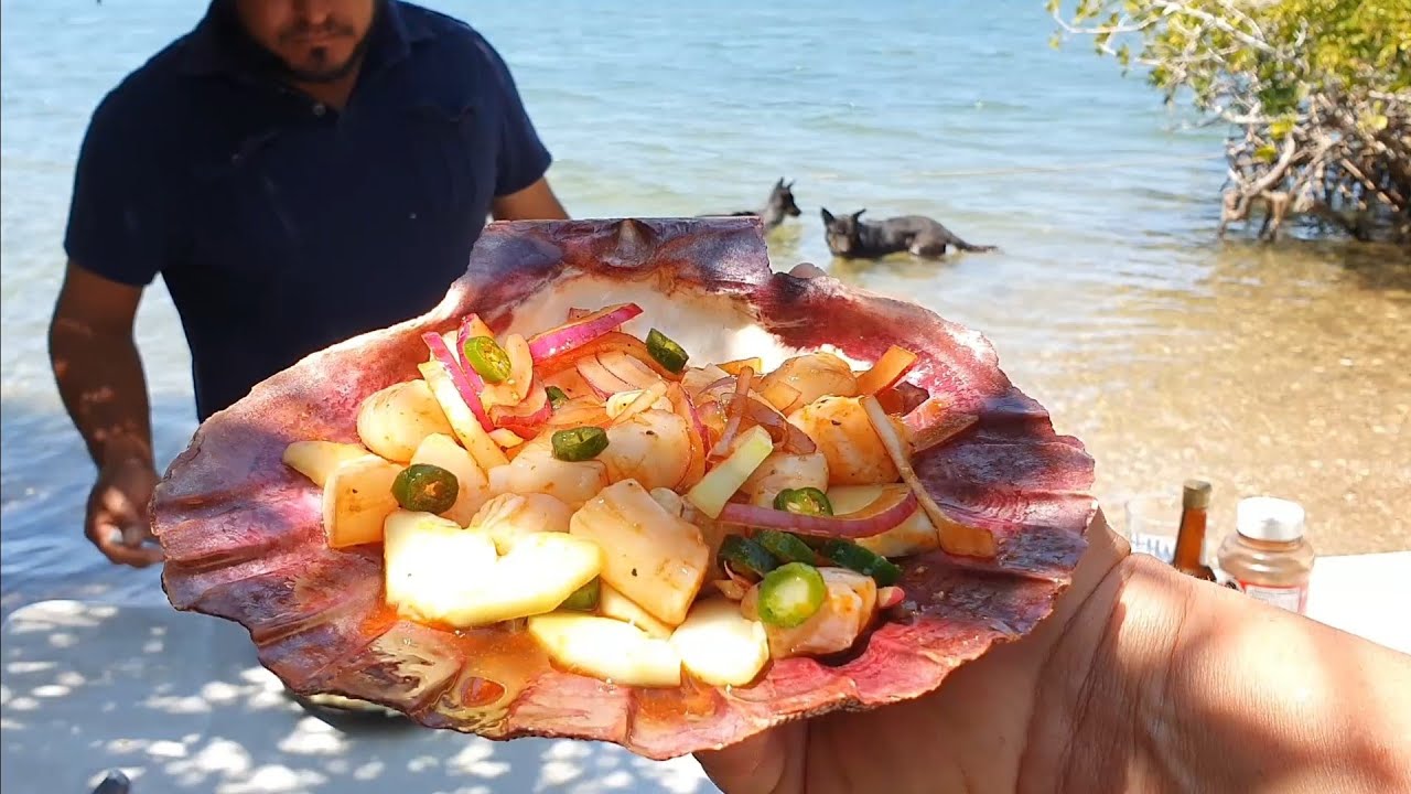 Rico aguachile de callo de almeja catarina(muy fresco) - YouTube