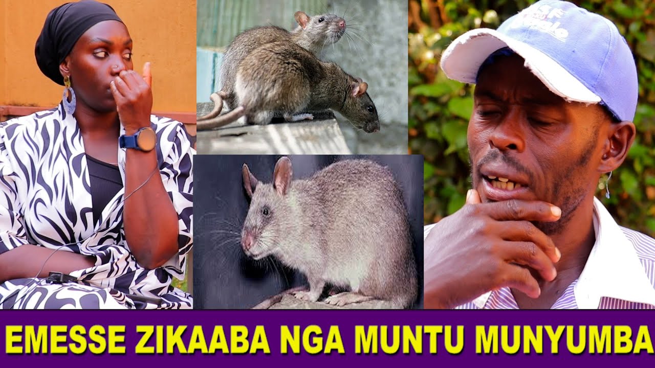MUNYAMBE EMESSE ZINEMESEZA OBULAMU ZIKAABA NGOMUNTU MUNYUMBA ...