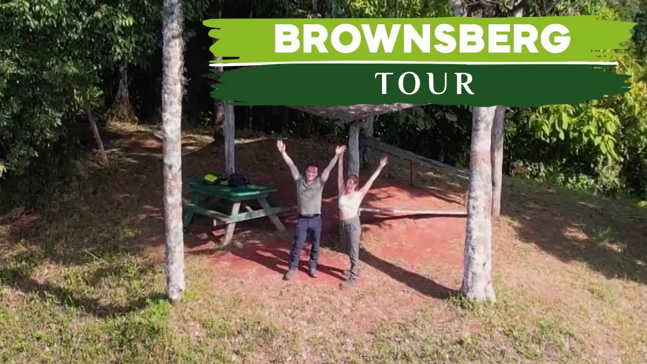 Explore Suriname’s Stunning Rainforest | Brownsberg Nature Park - YouTube