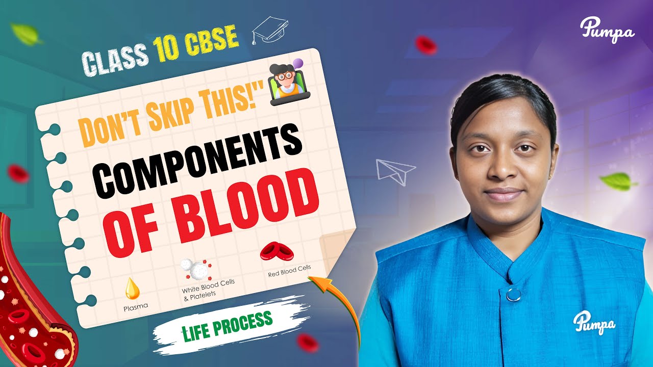 Components of Blood | Class 10 | CBSE - YouTube