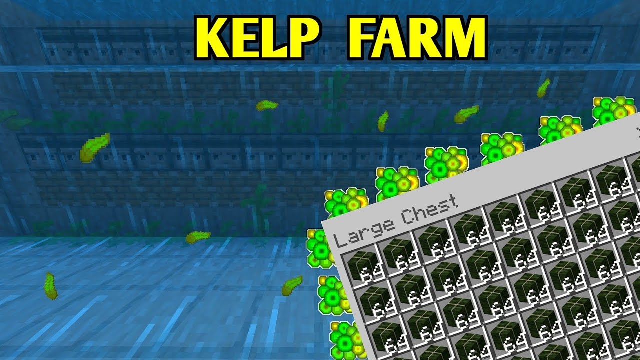 Easy xp farm & diede kelp farm in minecraft 1.20(TUTORIAL) - YouTube