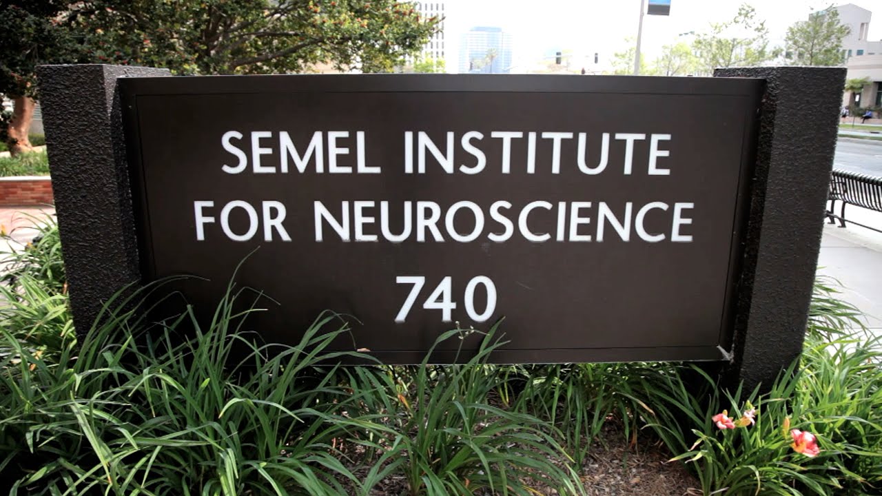 The Semel Institute for Neuroscience and Human Behavior at UCLA - YouTube