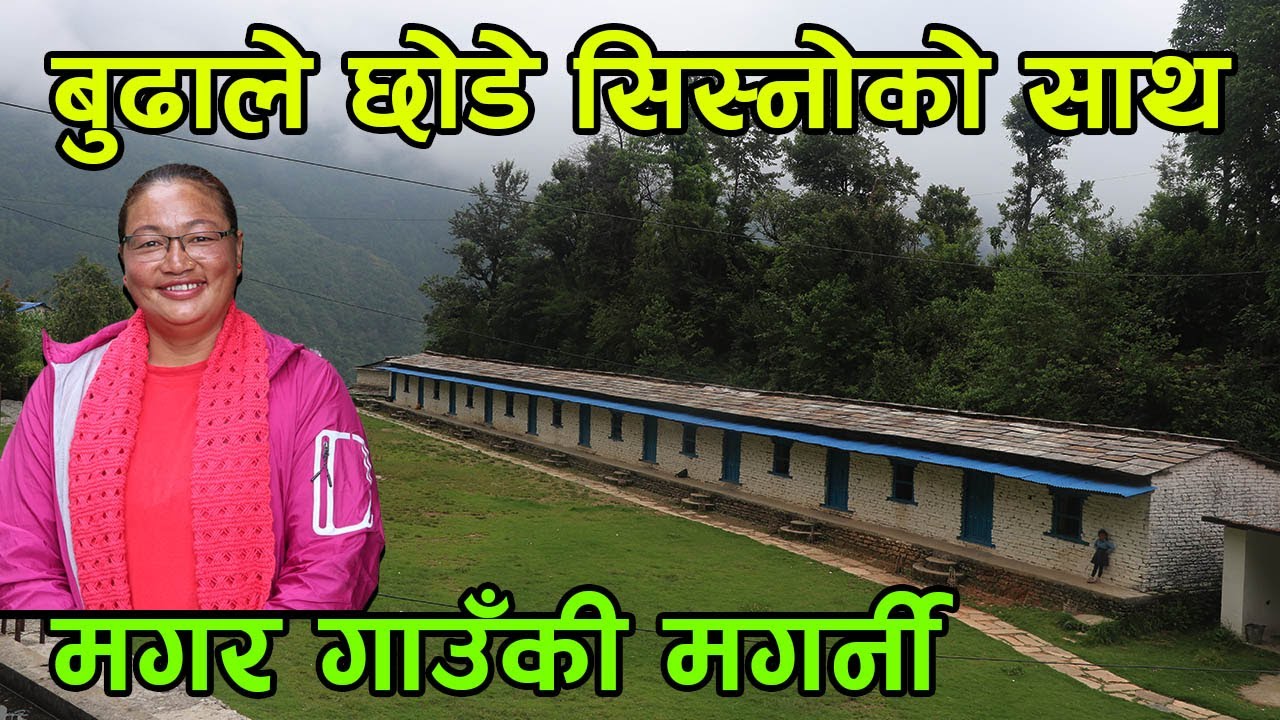 छोयो की पोल्ने सिस्नोको कपडा यसरी बुनिन्छ ! मगर गाउँकी मगर्नी दिदीले ...