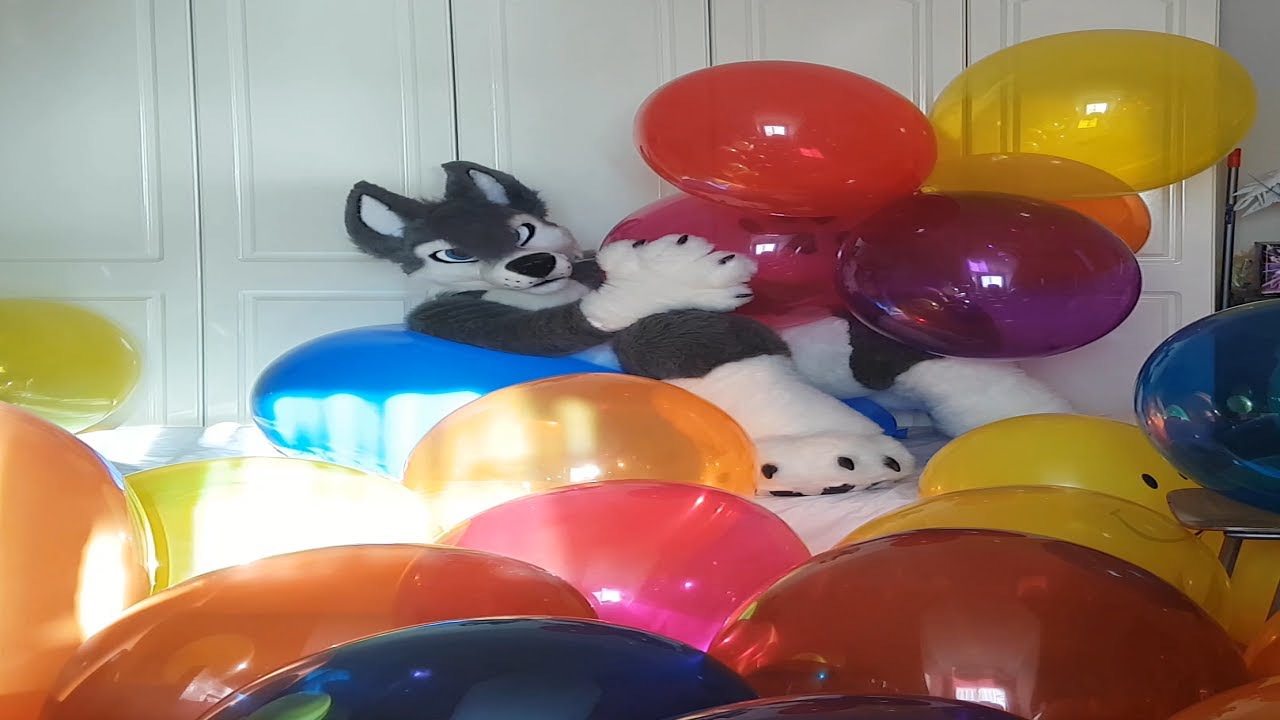 Playing and popping balloons in a fursuit part 2/9 - YouTube