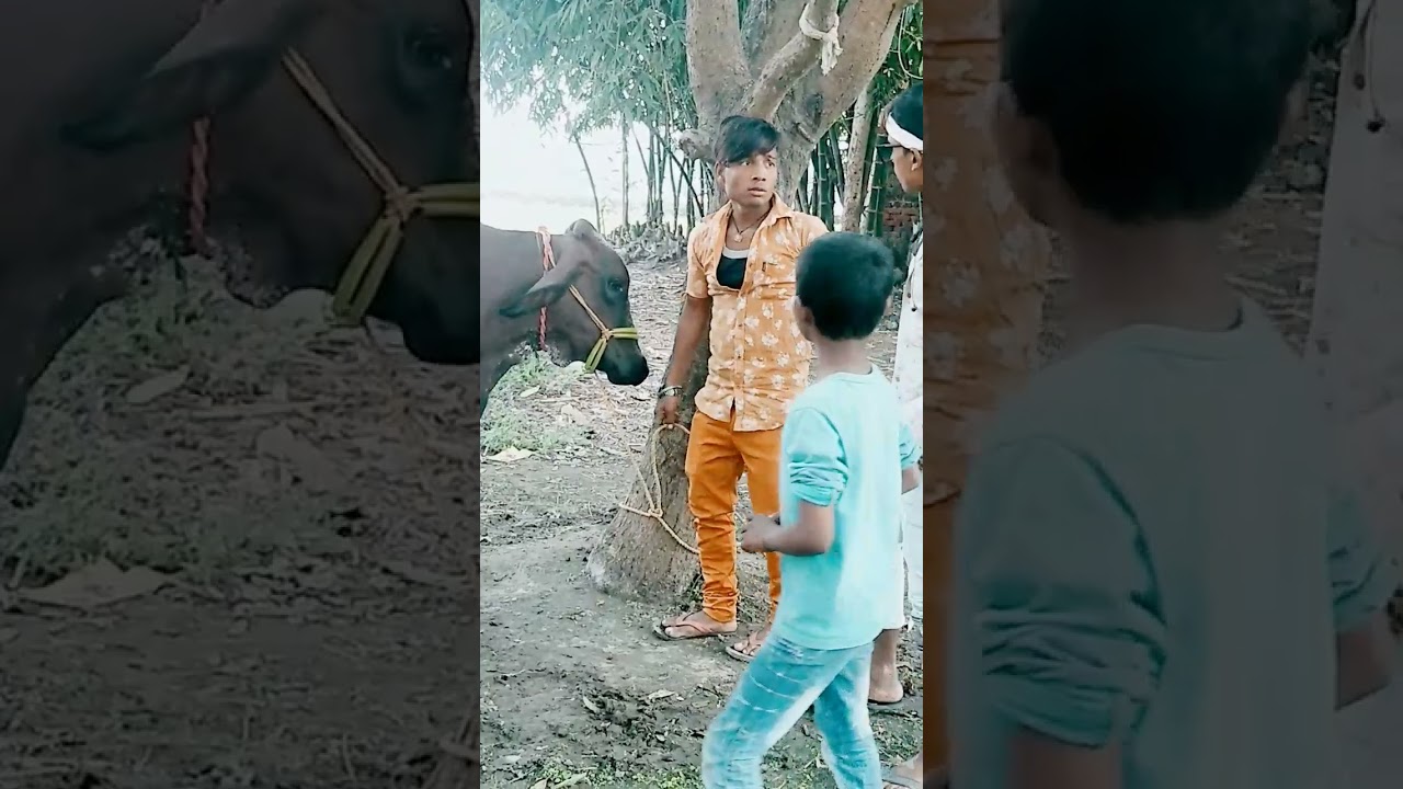 #funny 🙏#video 👌YouTube family. #Md786 - YouTube