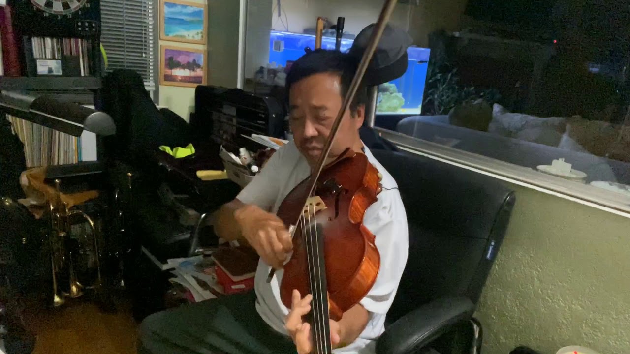 PURE IMAGINATION (Willy Wonka) - 70s Solo Violin Viola Cover - YouTube