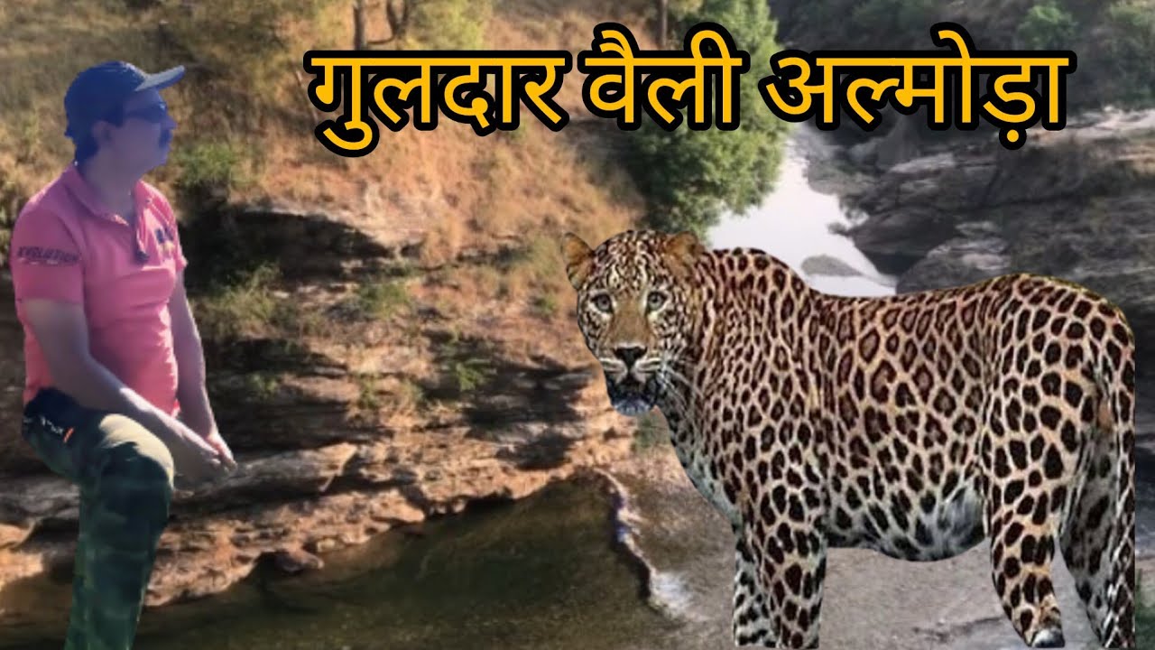 Guldar Valley, Kosi River,Almora|जहाँ दिन में भी दिख जाते है गुलदार ...