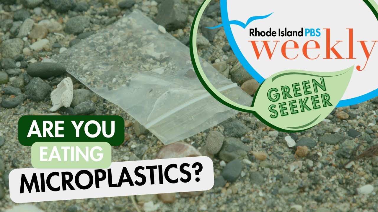 Examining how microplastics affect the environment and mammals | Green ...