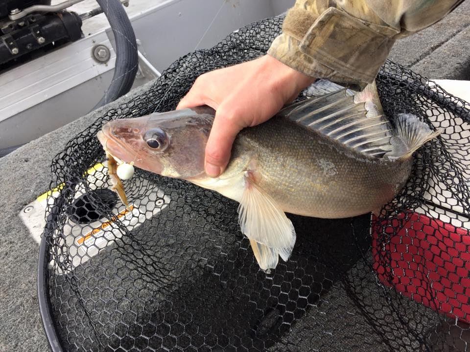 MN Fishing Opener Preiview 2016 from Wheeler's Point Resort - YouTube