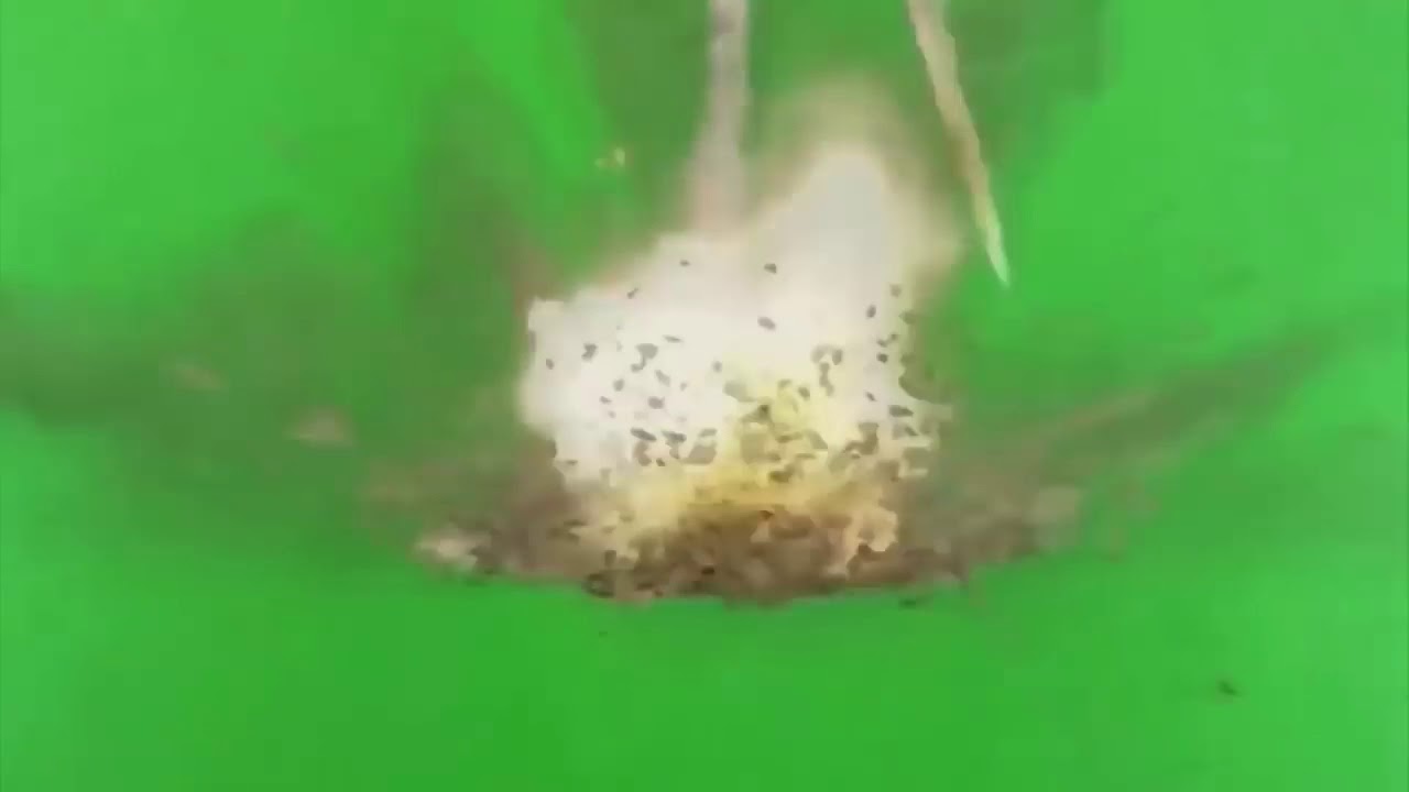 Ledakan Roket GREEN SCREEN - YouTube