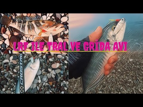 YAĞMURDA KIYIDAN ATÇEK BALIK AVI / Metal Jig ile Tral ve Grida yakaladım sonra saldım...