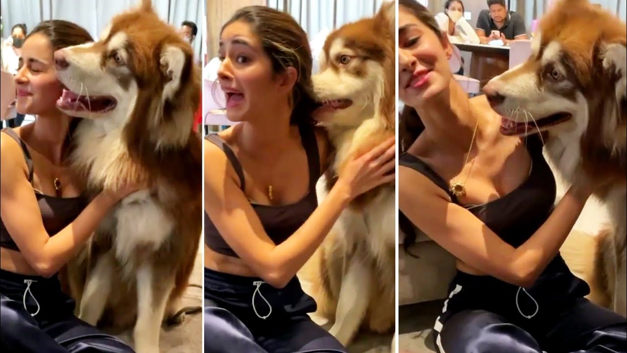 LIGER Movie Heroine Ananya Pandey Hilarious Fun with Charmie Dog | Top ...