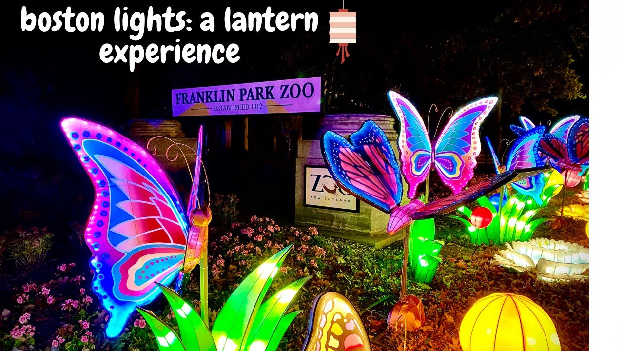 boston lights: a lantern experience | a trip to wonderland - YouTube