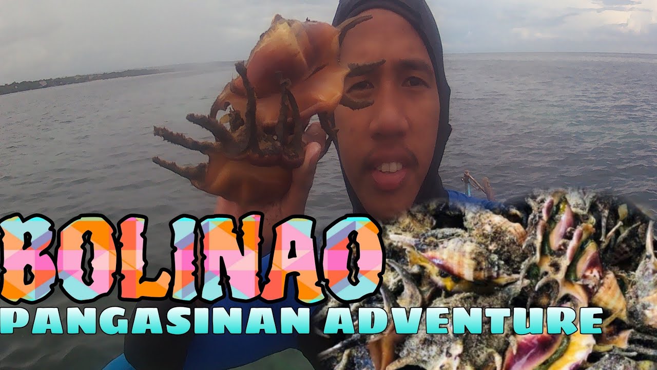 NAGLABASAN ANG MGA SEA SHELL'S SA KANILANG LUNGGA😱 - YouTube