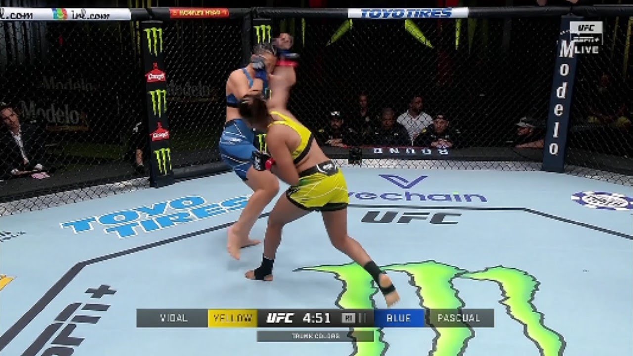 UFC Fighter HIGHLIGHTS Tamires Vidal Montserrat Rendon [ With ...