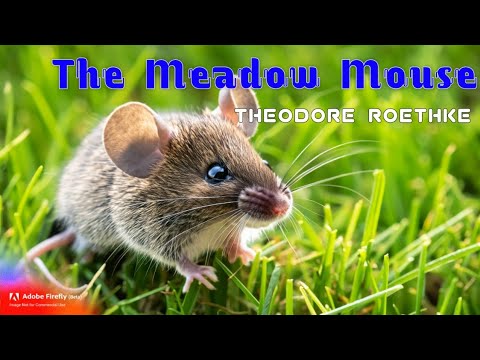 the meadow mouse by theodore roethke | the meadow mouse by theodore ...