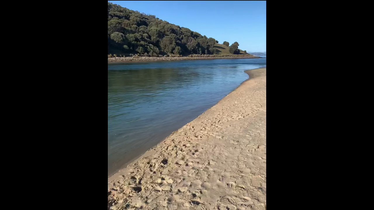 Chasing Australian (cocky) Salmon on the fly - YouTube