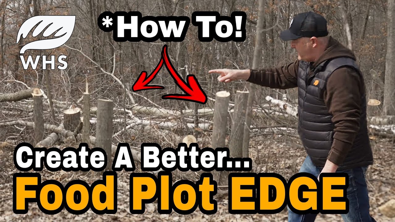 Create A Better Food Plot Edge - YouTube