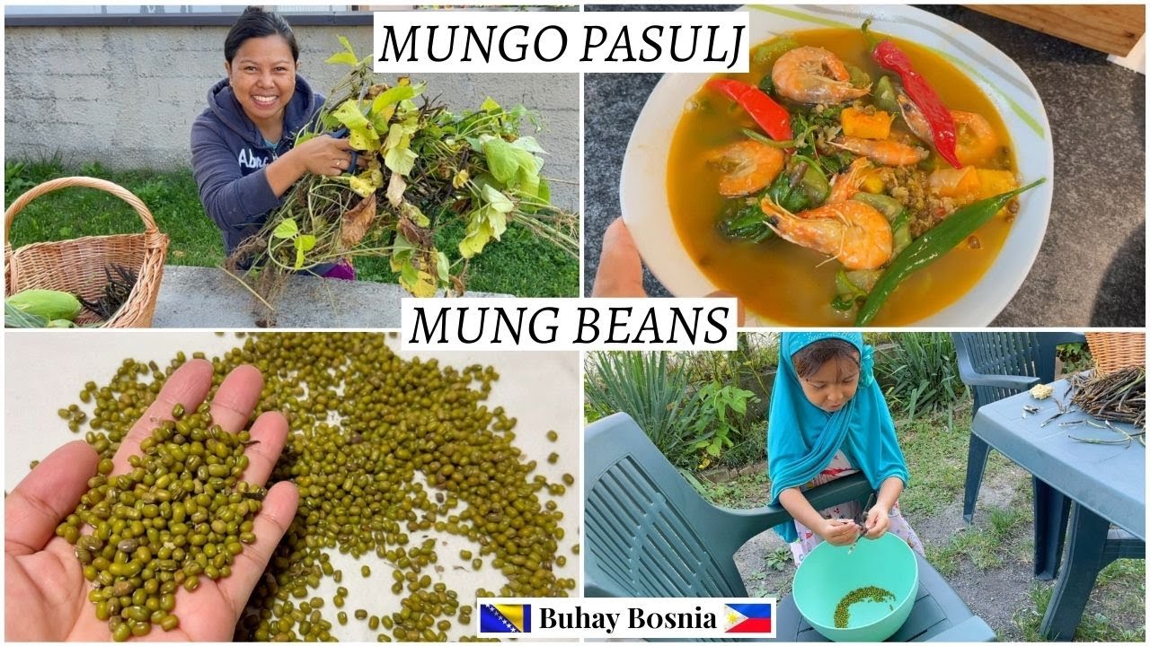 Šta je mungo pasulj i kako ga kuhaju na filipinima | How to cook mung ...