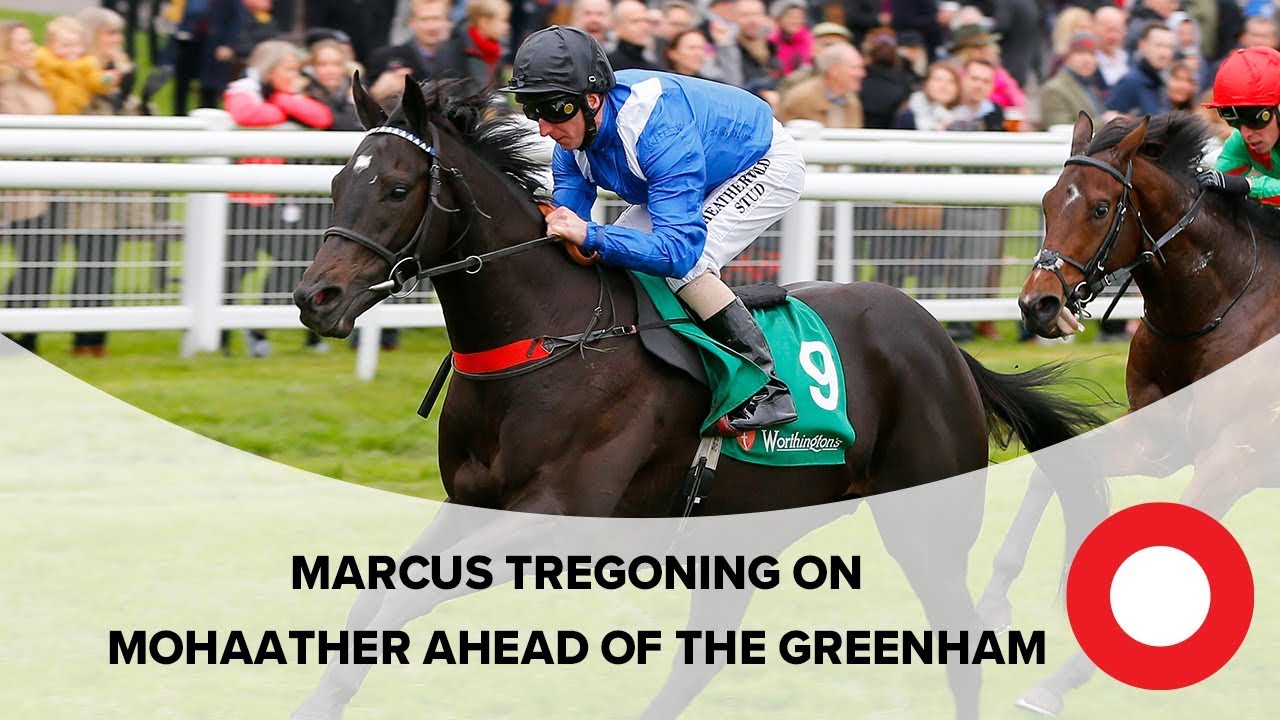 Marcus Tregoning on Mohaather's hopes in the Greenham Stakes at Newbury ...