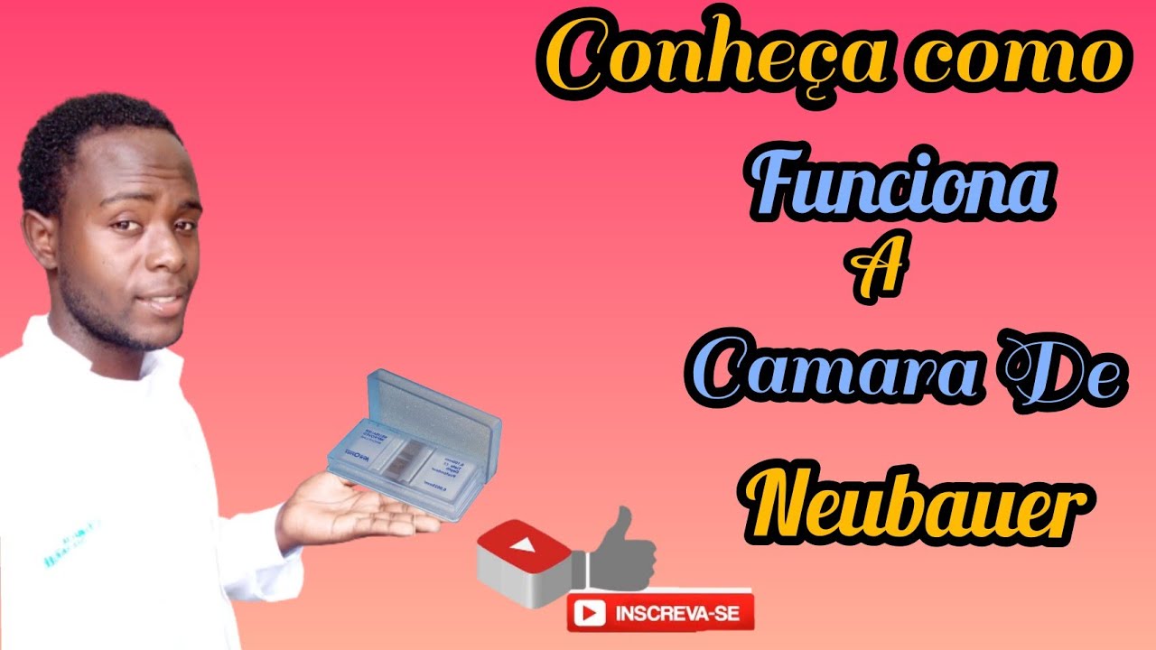 CONHEÇA COMO FUNCIONA A #CAMARA_DE_NEUBAUER - YouTube