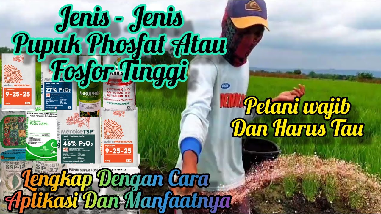 Jenis - Jenis Pupuk Dengan Kandungan Fosfor Tinggi Atau Phospat,Lengkap ...
