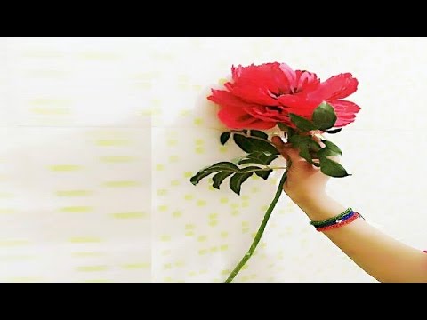 Daawo | Geeraar Jaceyl oo aan caadi ahayn. - YouTube