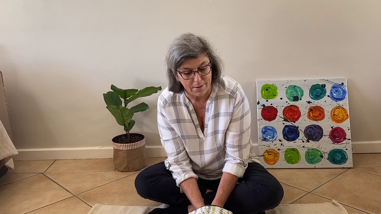 Chameleons at home - Stereognostic sorting activity - YouTube