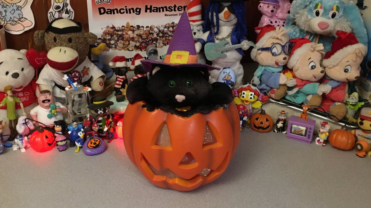 PAC animated cat in pumpkin - YouTube