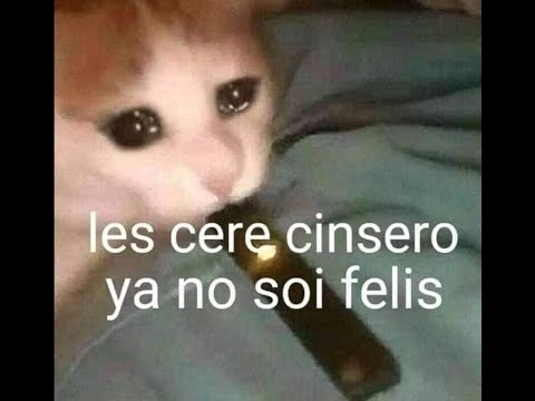 embeces la vida no es como queremos - YouTube