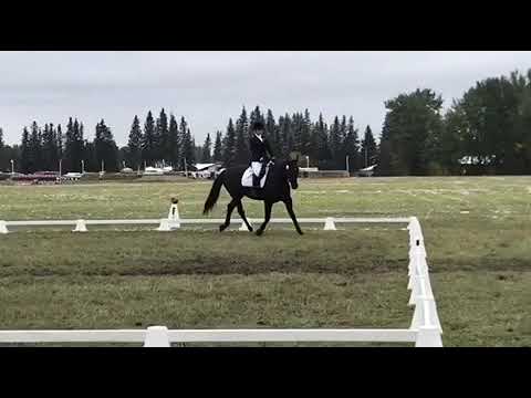 Caitlyn Sutherland and Chatur 2018 - YouTube