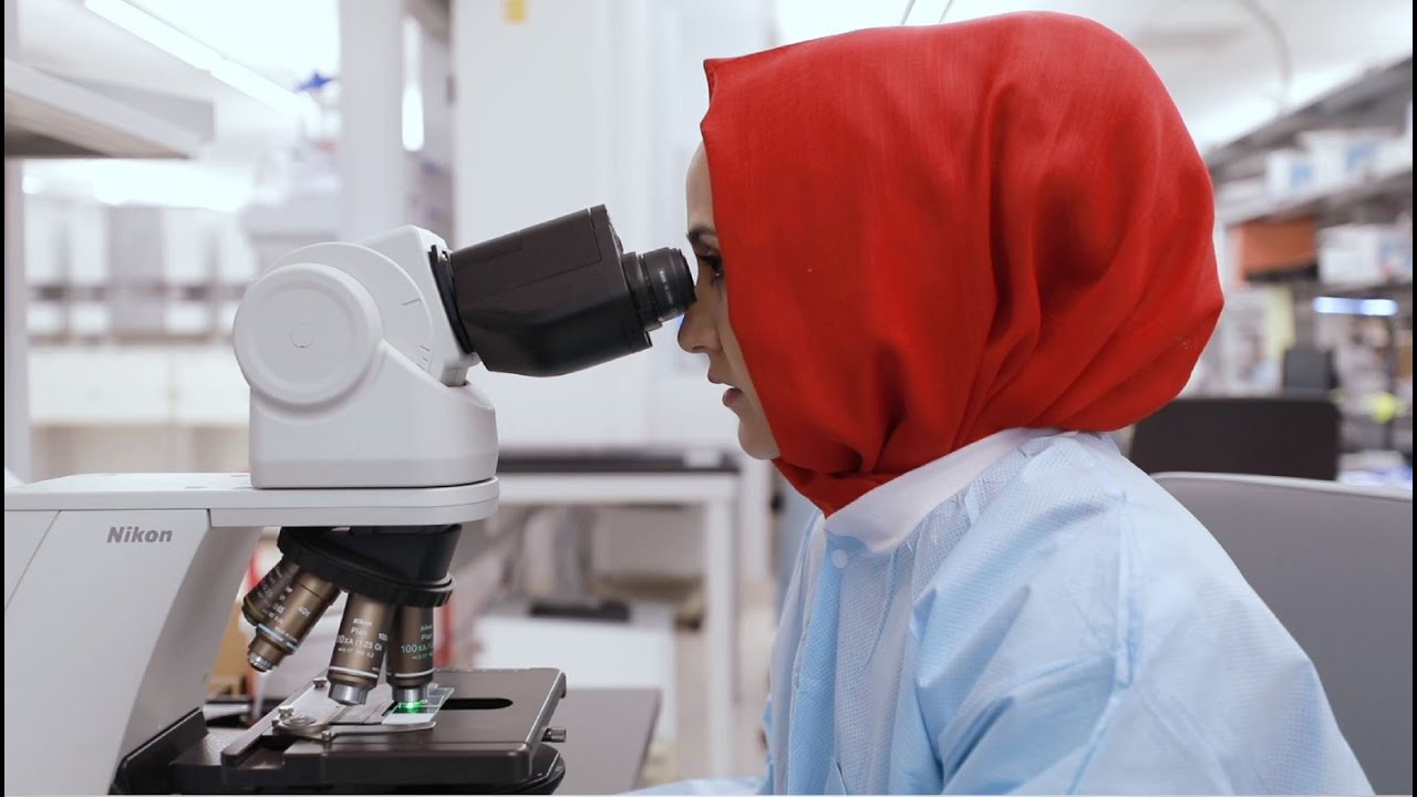 Clinical Laboratory of New York - YouTube