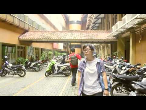 Hachiko Project - Just Mini Blog (Short Movie)