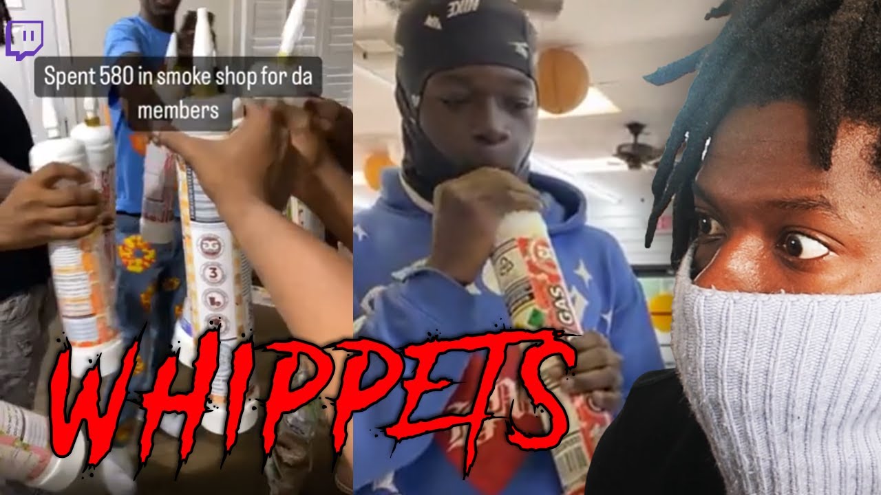 WHIPPETS ARE DESTROYING THE YN'S IN ATLANTA - YouTube