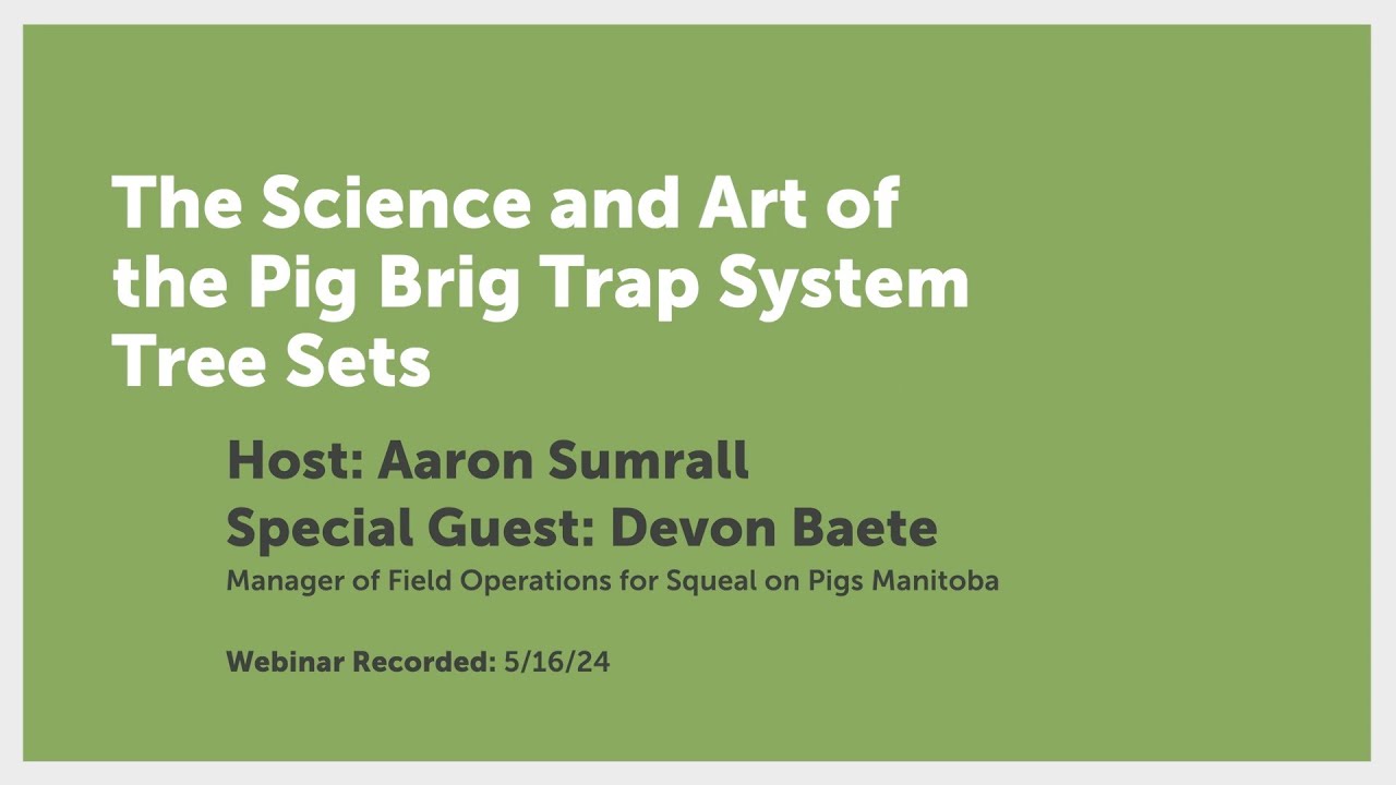 The Science and Art of Tree Sets | Pig Brig Trap Systems - YouTube