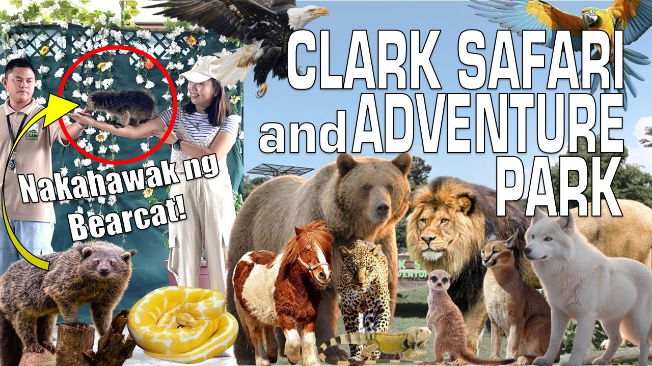 Clark Safari and Adventure Park Full Tour - YouTube